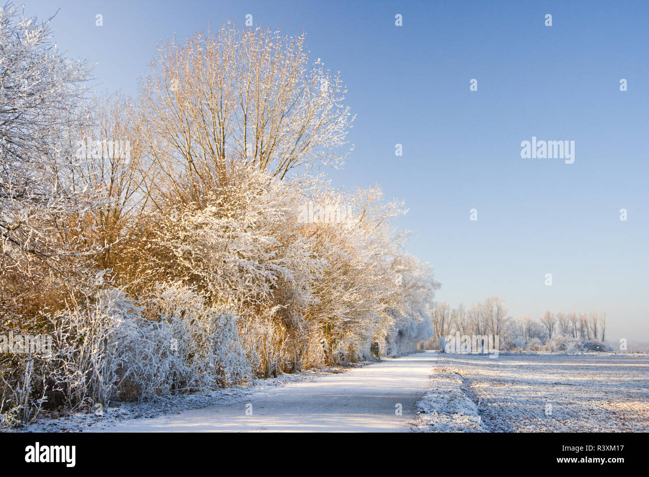 Everything is white after a very cold night in Germany Stock Photo - Alamy