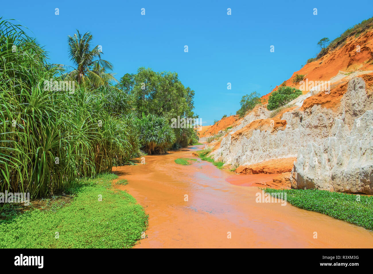 Light colored sands hi-res stock photography and images - Alamy