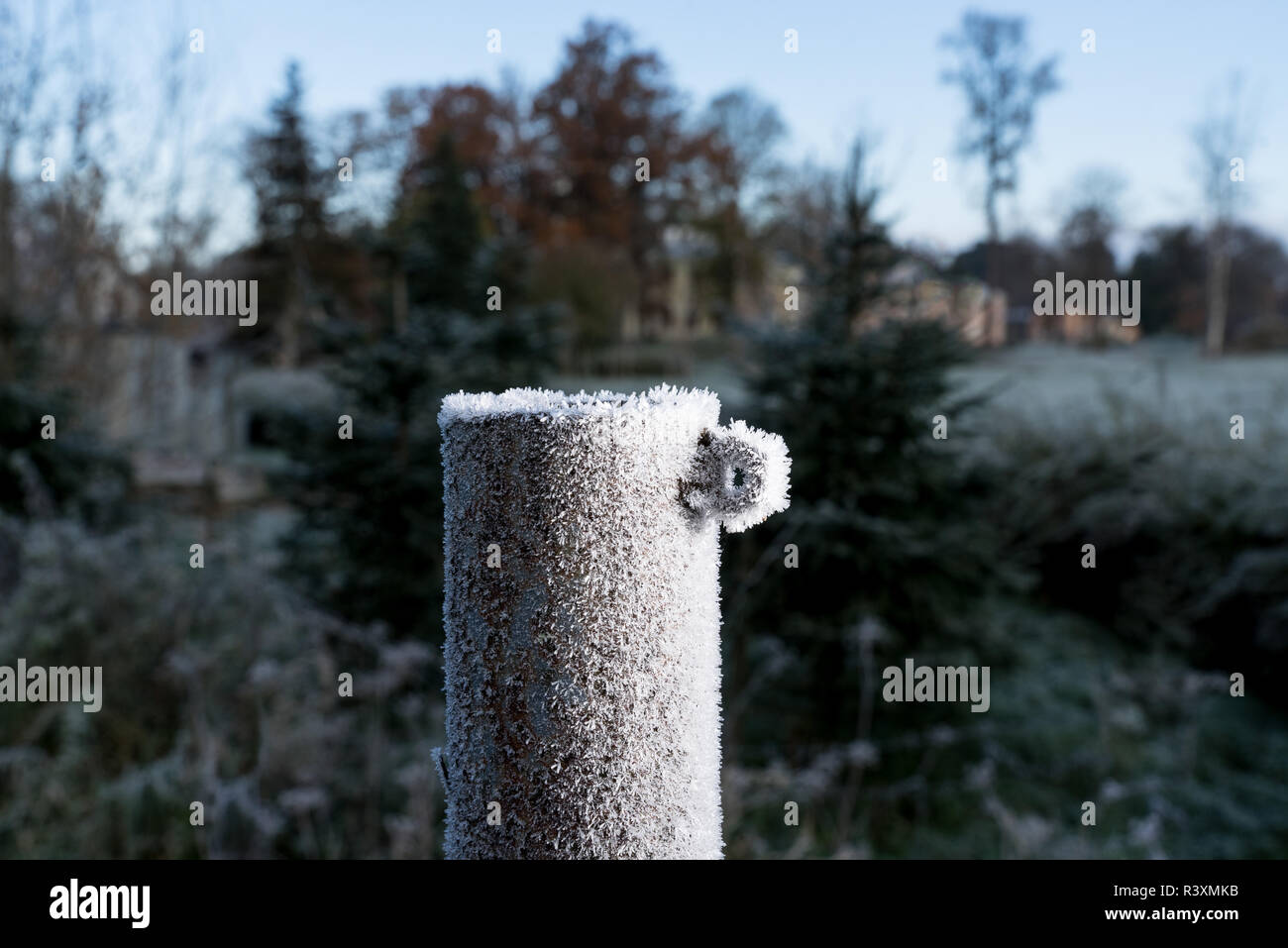 Frosty garden post, green natural environment background Stock Photo ...
