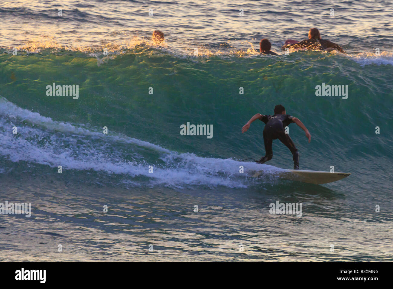 San diego california surfing hi-res stock photography and images - Alamy