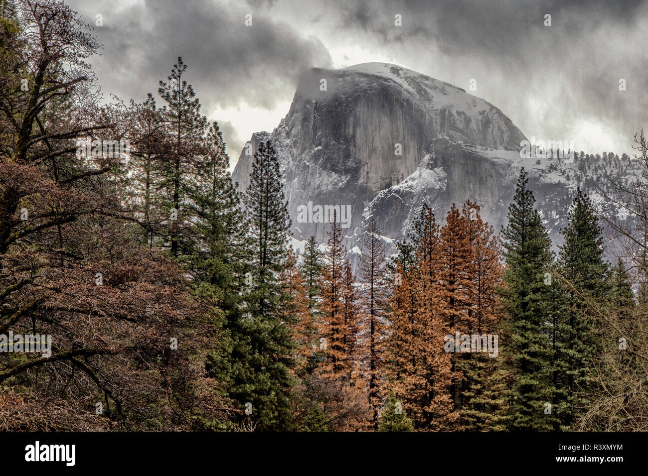 Half Dome View from Sentinel Bridge in Winter. Yosemite National Park ...