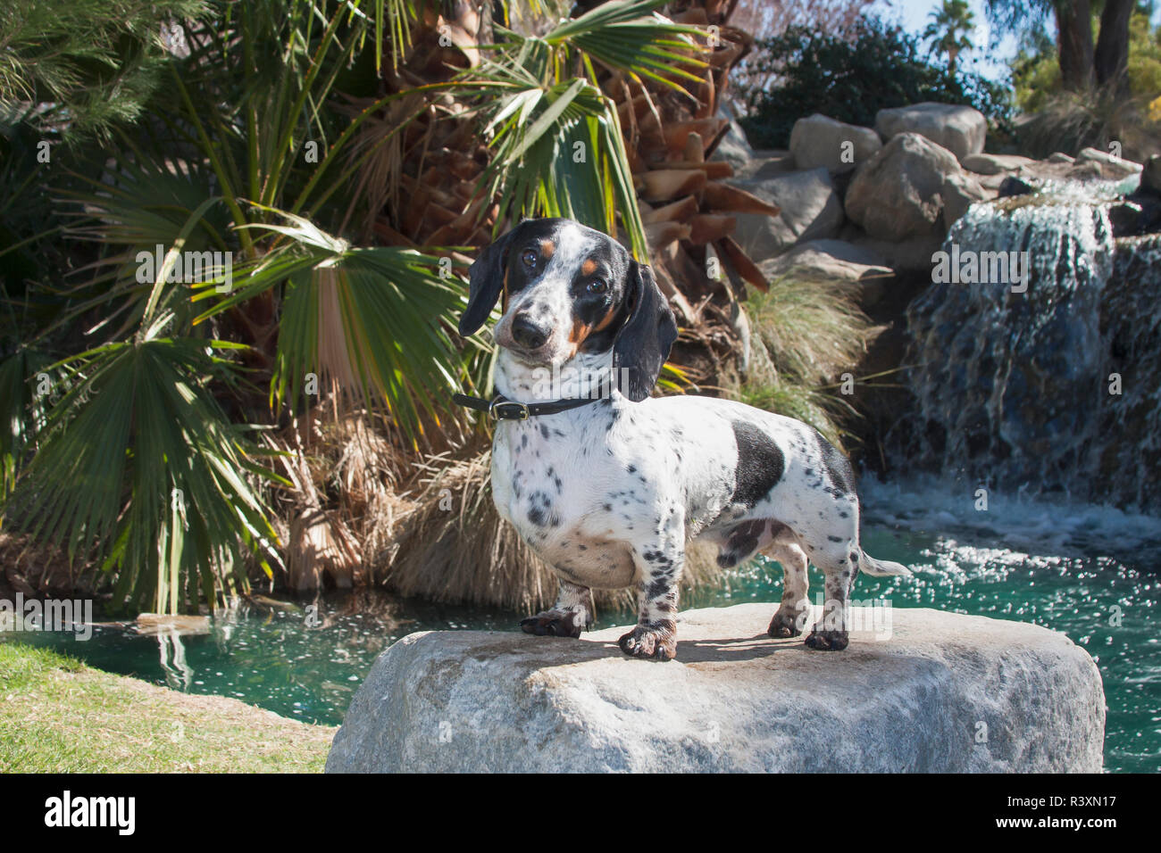 Love civic center hi-res stock photography and images - Alamy