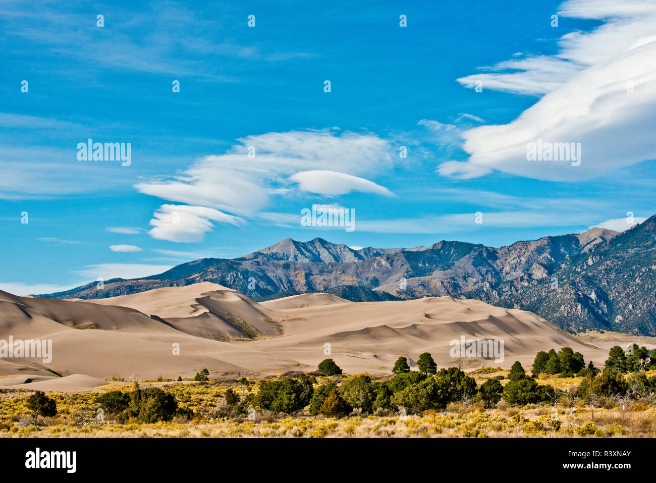 USA, Colorado, Alamosa, Great Sand Dunes National Park and Preserve ...