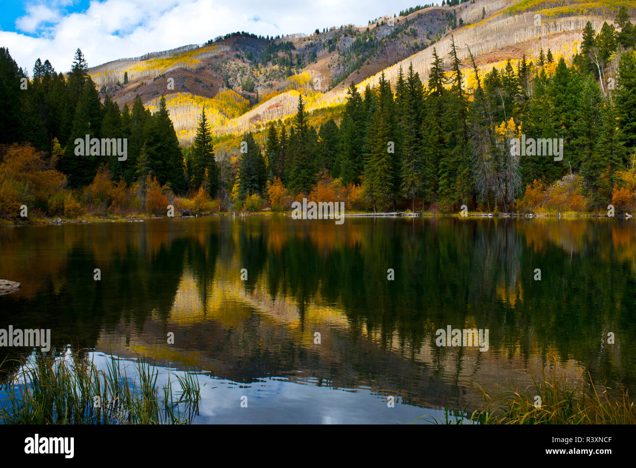 USA, Colorado, Marble, Lead King Basin Jeep Tour, Lizard Lake Stock ...