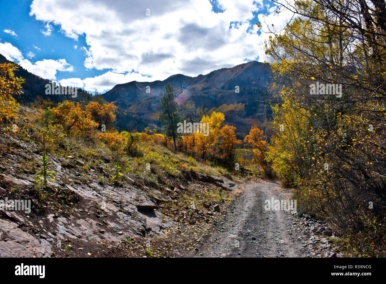 Lead king basin hi-res stock photography and images - Alamy