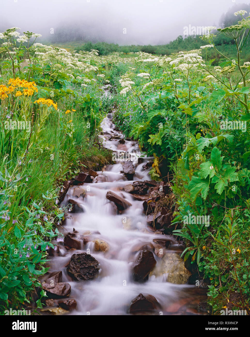 Hillside colorado hi-res stock photography and images - Alamy