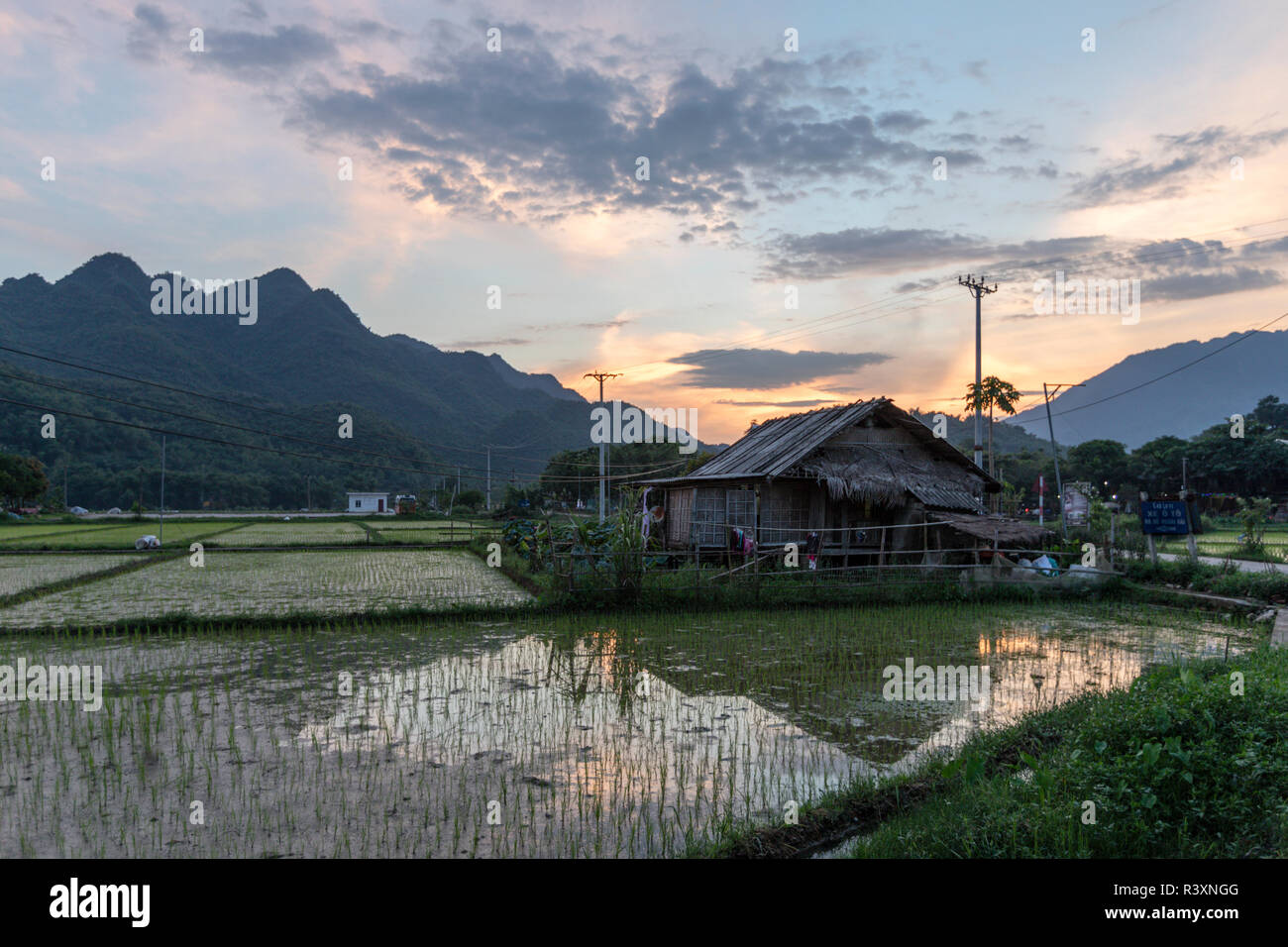 Mai chau field hi-res stock photography and images - Alamy