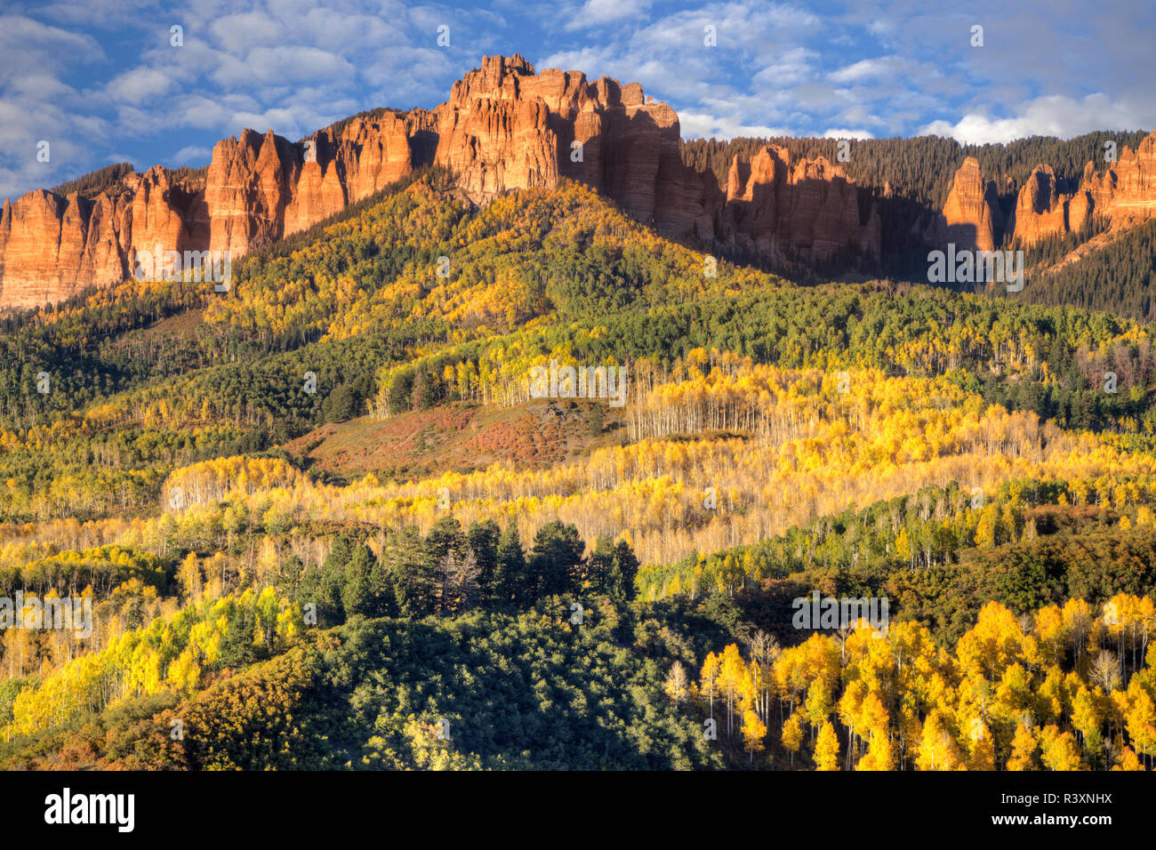 USA, Colorado, Cinnamon Ridge. Mountain and forest landscape in autumn ...