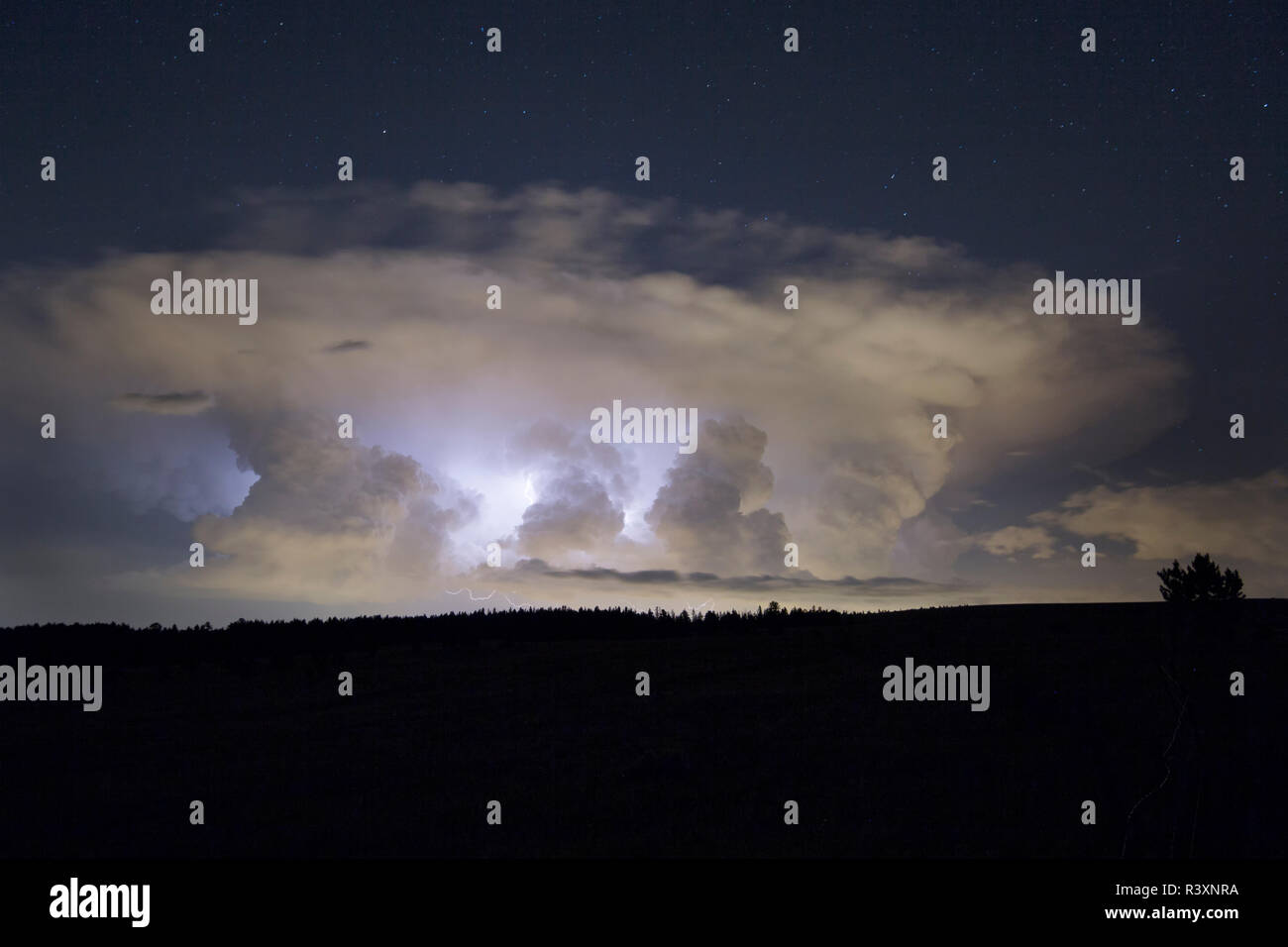 USA, Colorado, Pike National Forest. Thunderhead and electrical storm ...