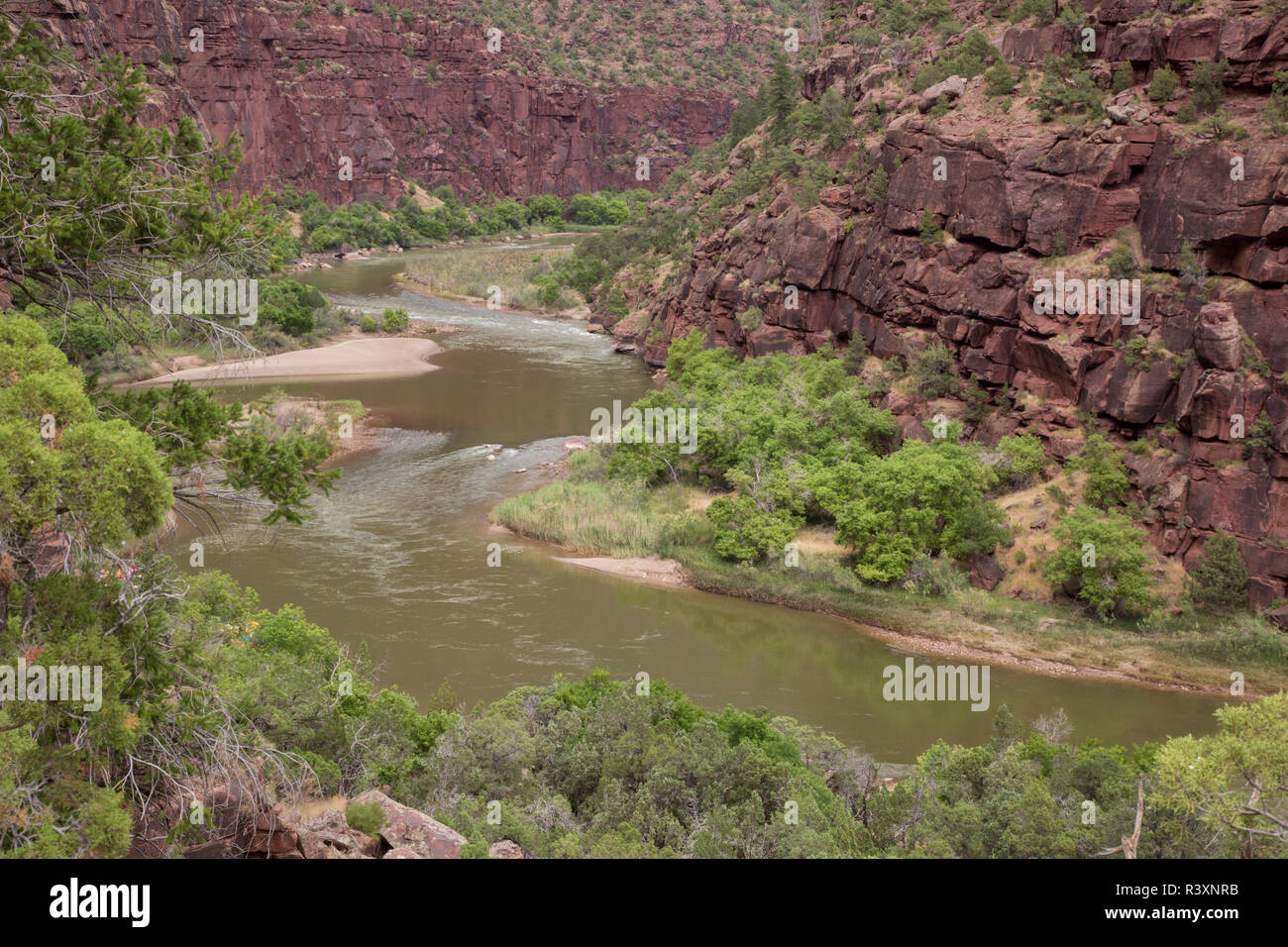 Green river canyon of lodore hi-res stock photography and images - Alamy