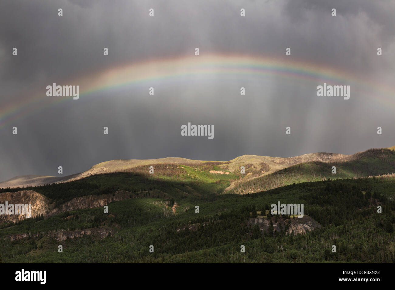 Sunbeam gallery hi-res stock photography and images - Alamy