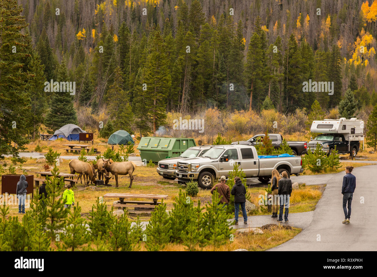 Rocky mountain national park campground hi-res stock photography and ...