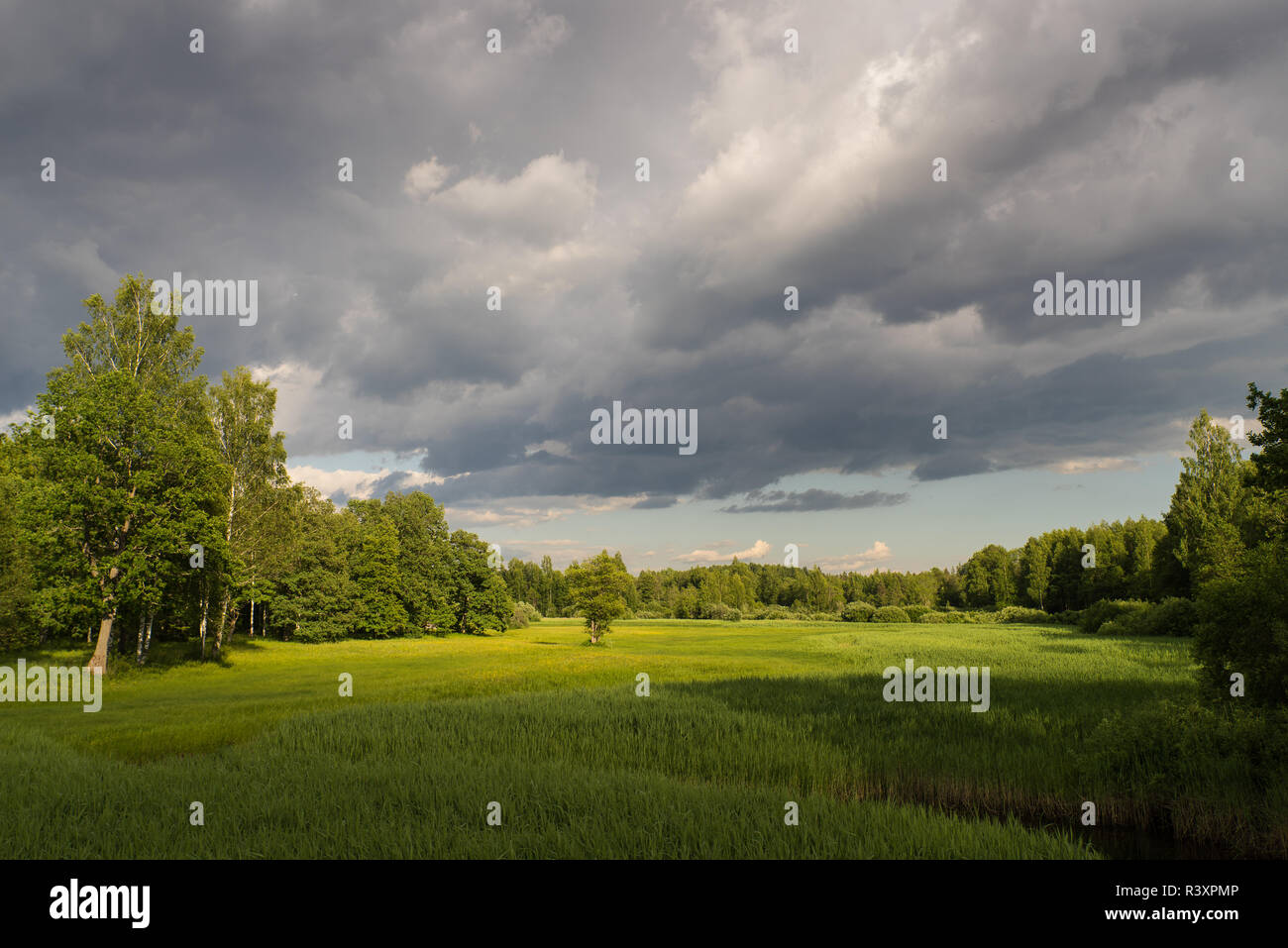 Noose landscape hi-res stock photography and images - Alamy