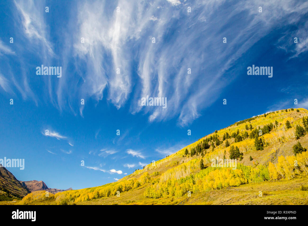 Gunnison national forest hillside hi-res stock photography and images ...