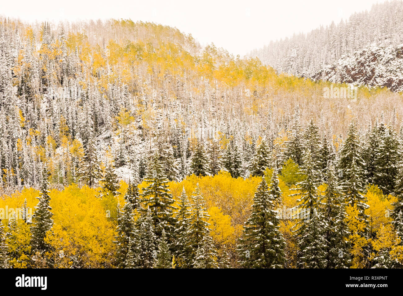 Mesa mountain hi-res stock photography and images - Alamy