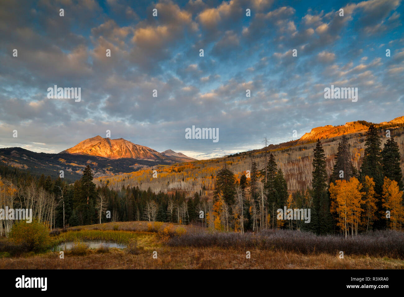 Rocky Mountains, Colorado. Fall Colors of Aspens, Keebler Pass, with ...