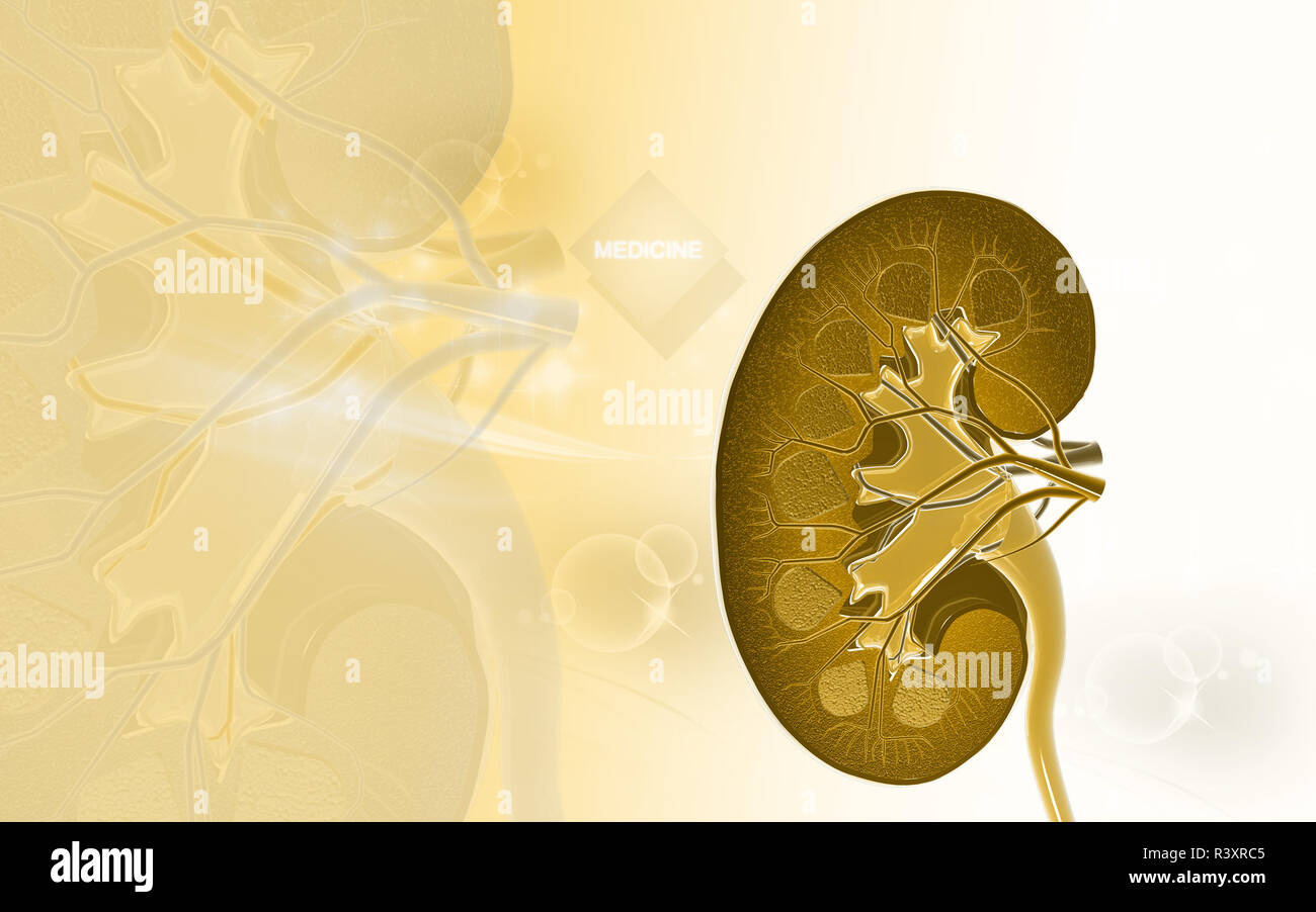 Kidney basin hi-res stock photography and images - Alamy