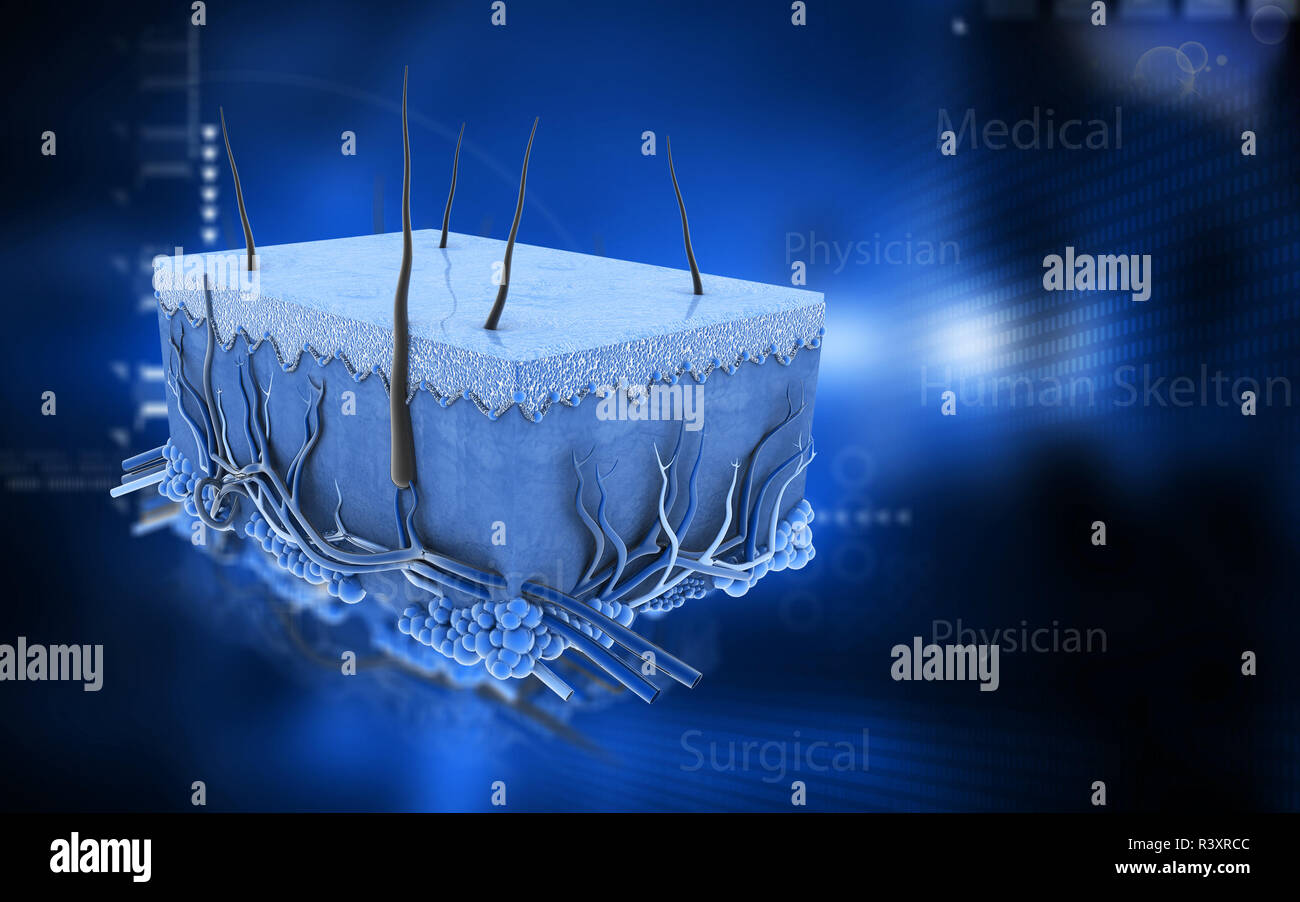 Skin cells, blue hi-res stock photography and images - Alamy