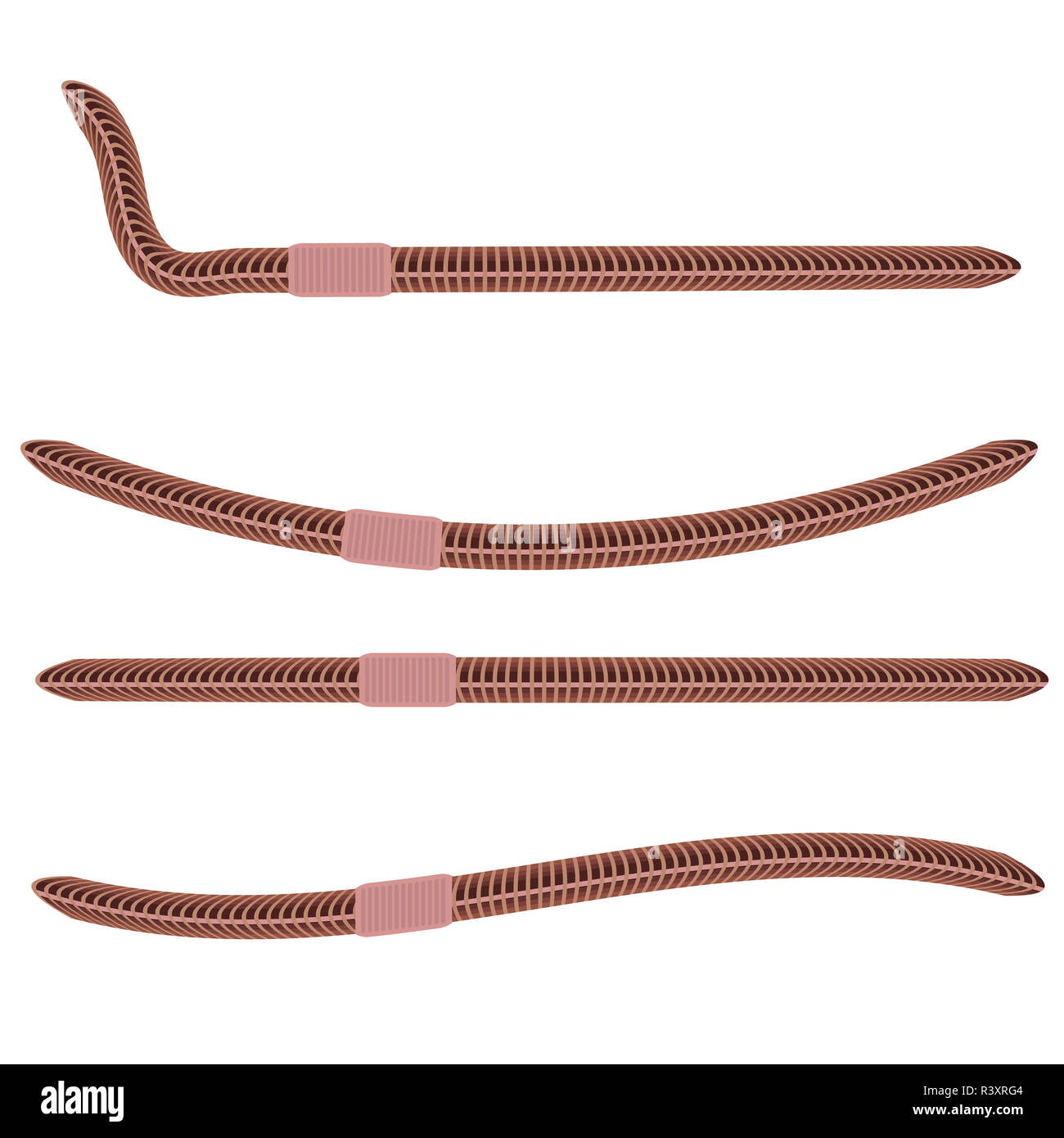 Animal Earth Red Worms for Fishing Stock Photo - Alamy