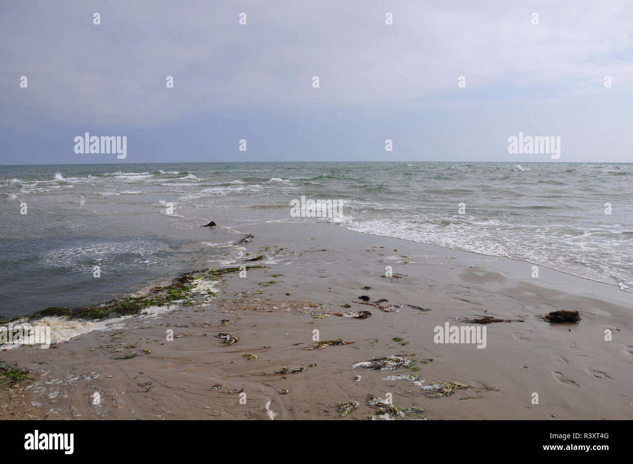 northern tip of denmark,countryside,sandy beach,dunes,beach,sea Stock ...
