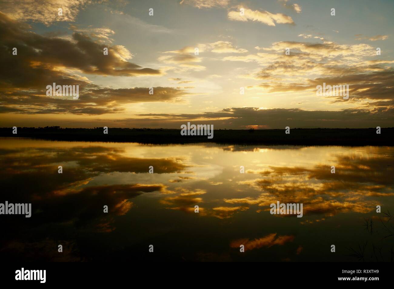 Rice paddy reflections hi-res stock photography and images - Alamy