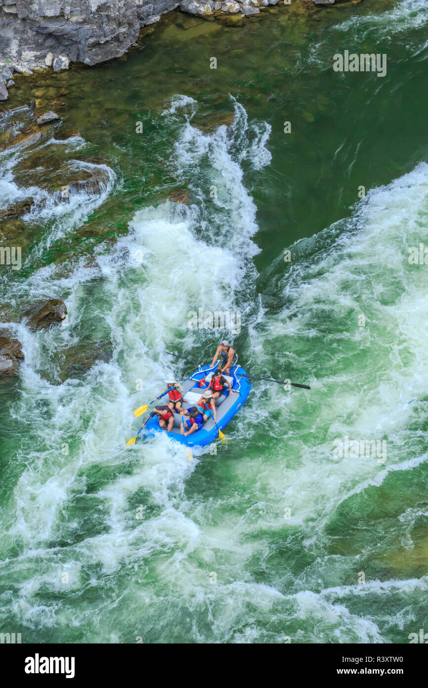 rafters shooting rapids in alberton gorge on the clark fork river near ...