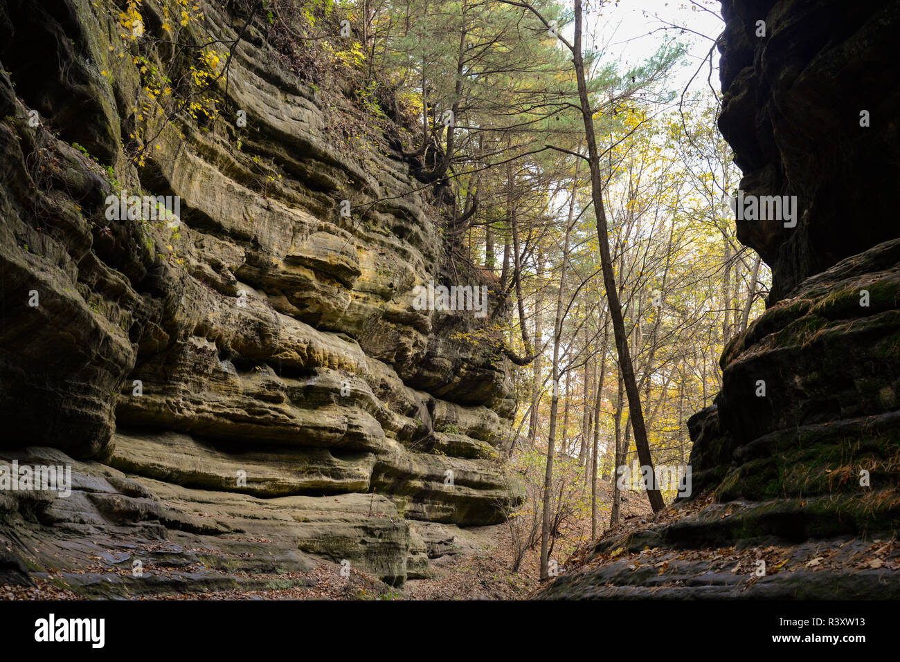 Sandstone canyons of Starved Rock State Park in Oglesby, Illinois Stock ...