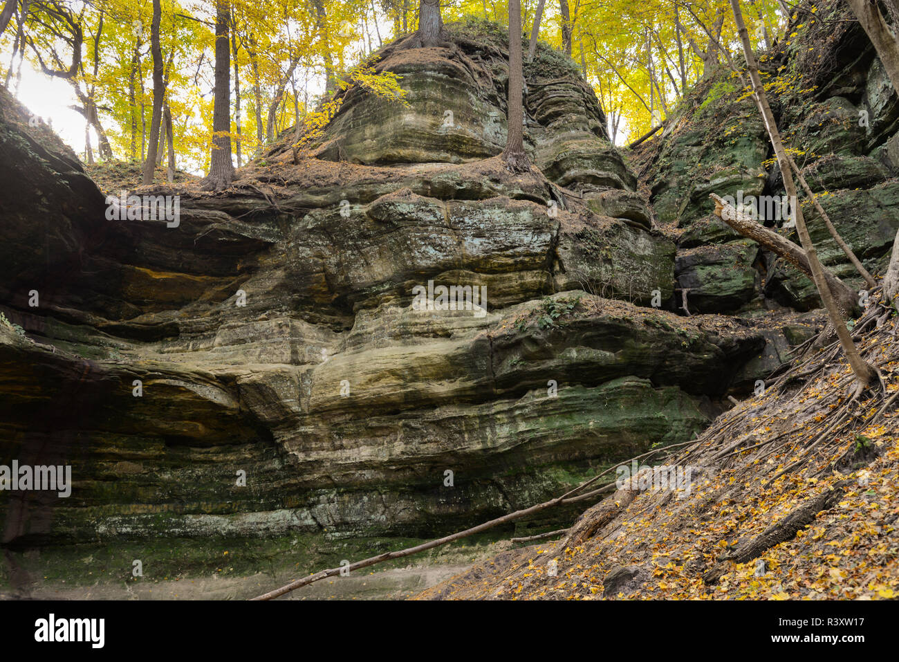 Sandstone canyons of Starved Rock State Park in Oglesby, Illinois Stock ...