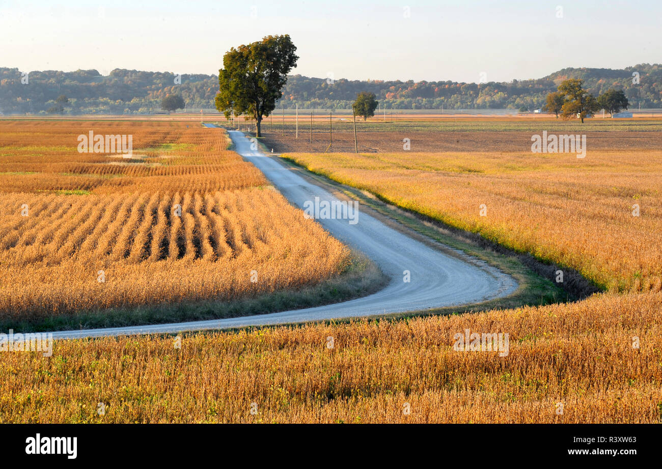 Road through farmland hi-res stock photography and images - Alamy