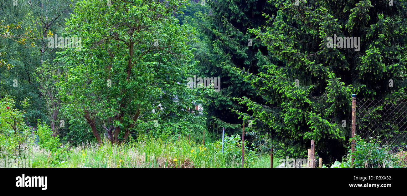 Untended grass hi-res stock photography and images - Alamy