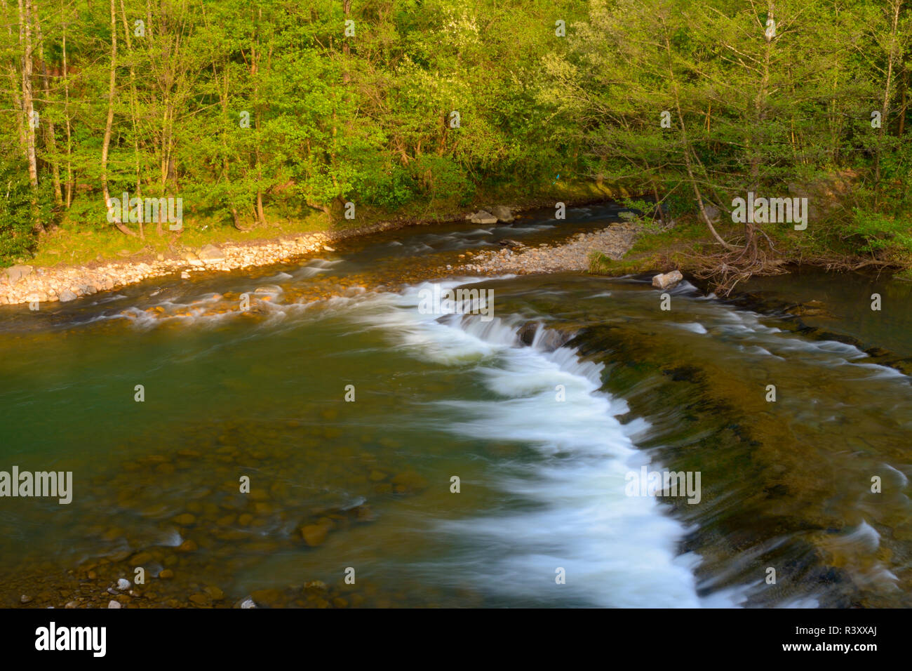 the river and its shore Stock Photo - Alamy