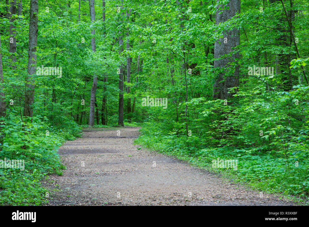 Johnson county hi-res stock photography and images - Alamy