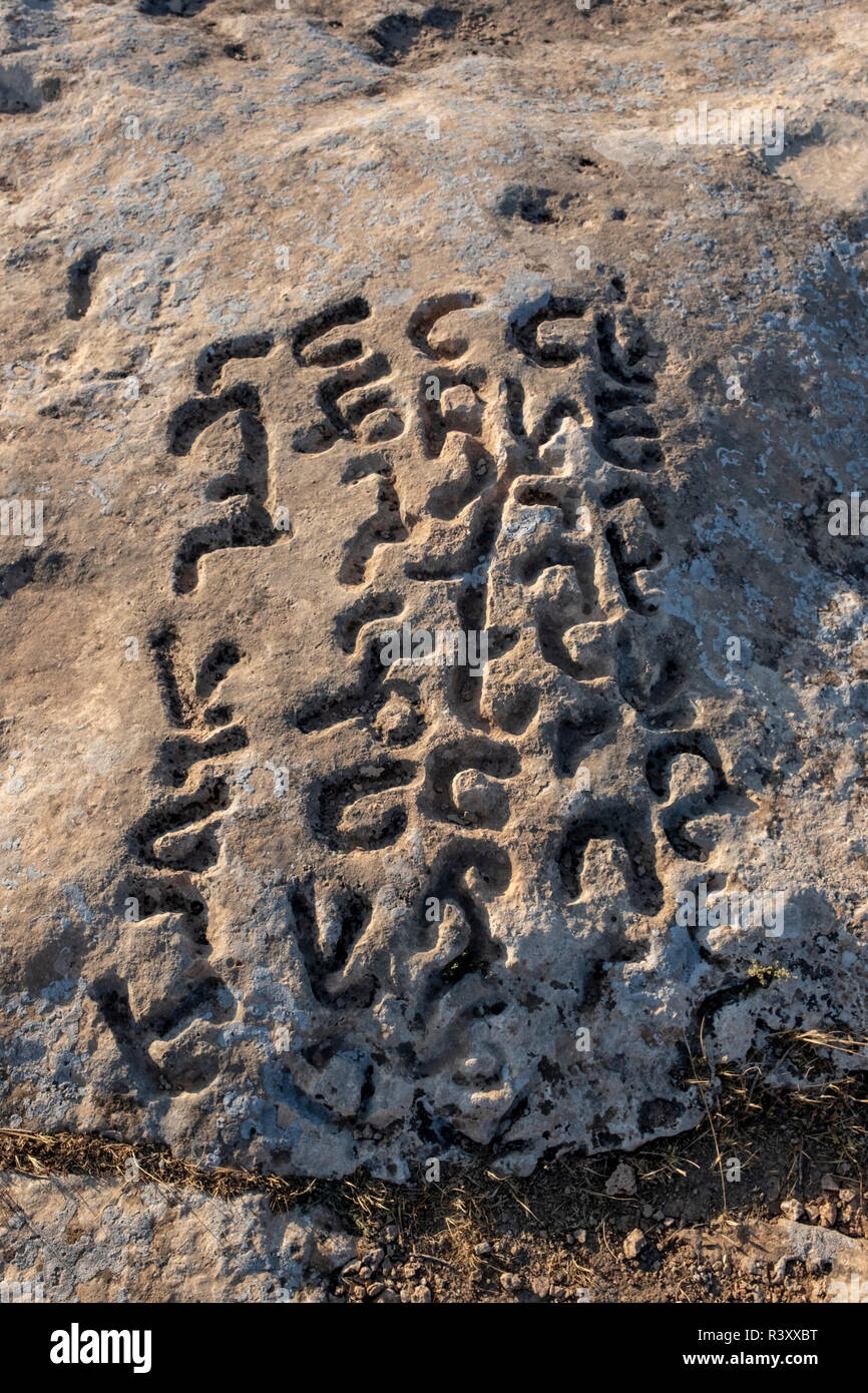 Some scripts of the temple of the Seven Planets at Sogmatar in ...