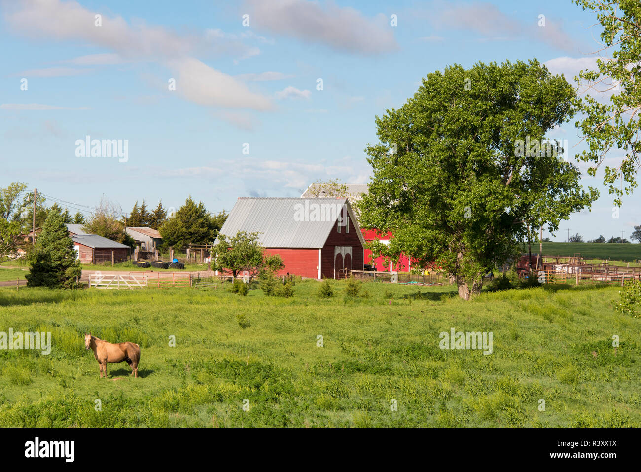 Quinter kansas hi-res stock photography and images - Alamy