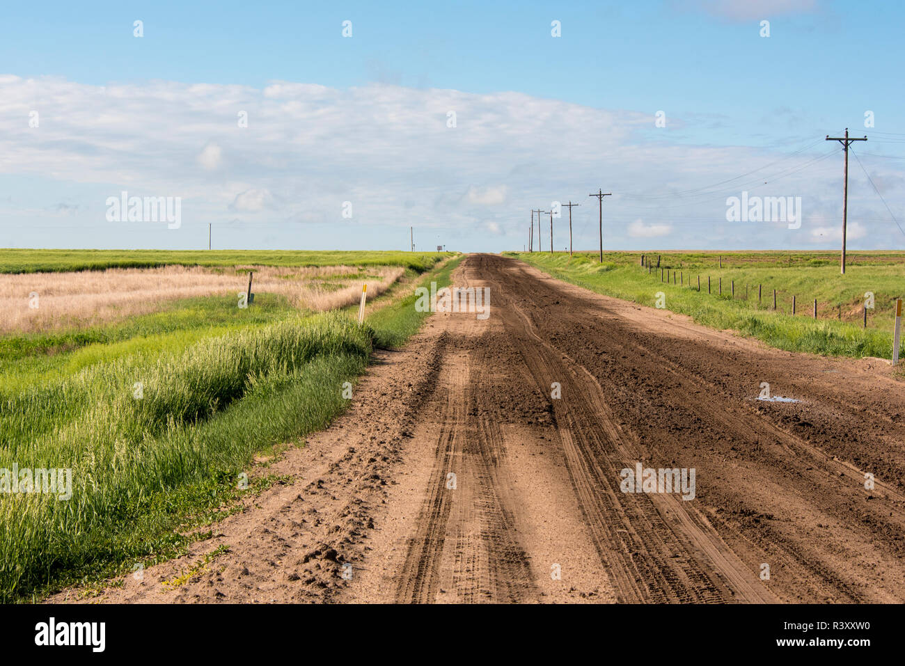 Quinter hi-res stock photography and images - Alamy