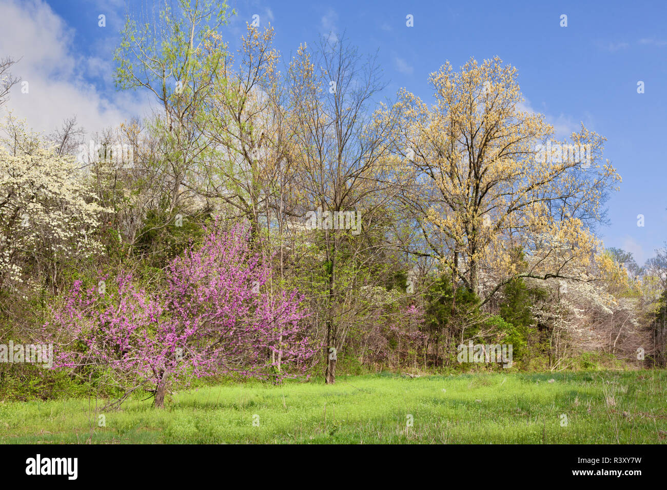 Hardin county hi-res stock photography and images - Alamy