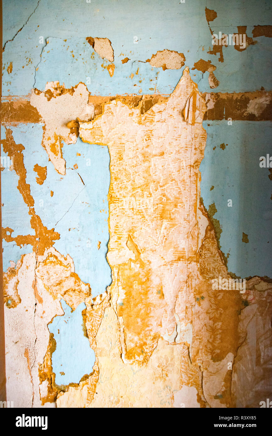 Torn wallpaper in a building Stock Photo - Alamy