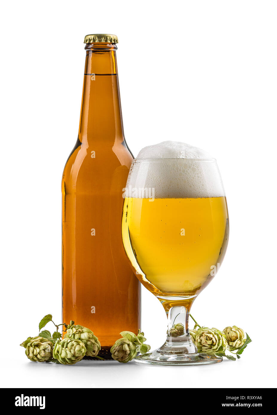 Light hops Cut Out Stock Images & Pictures - Alamy