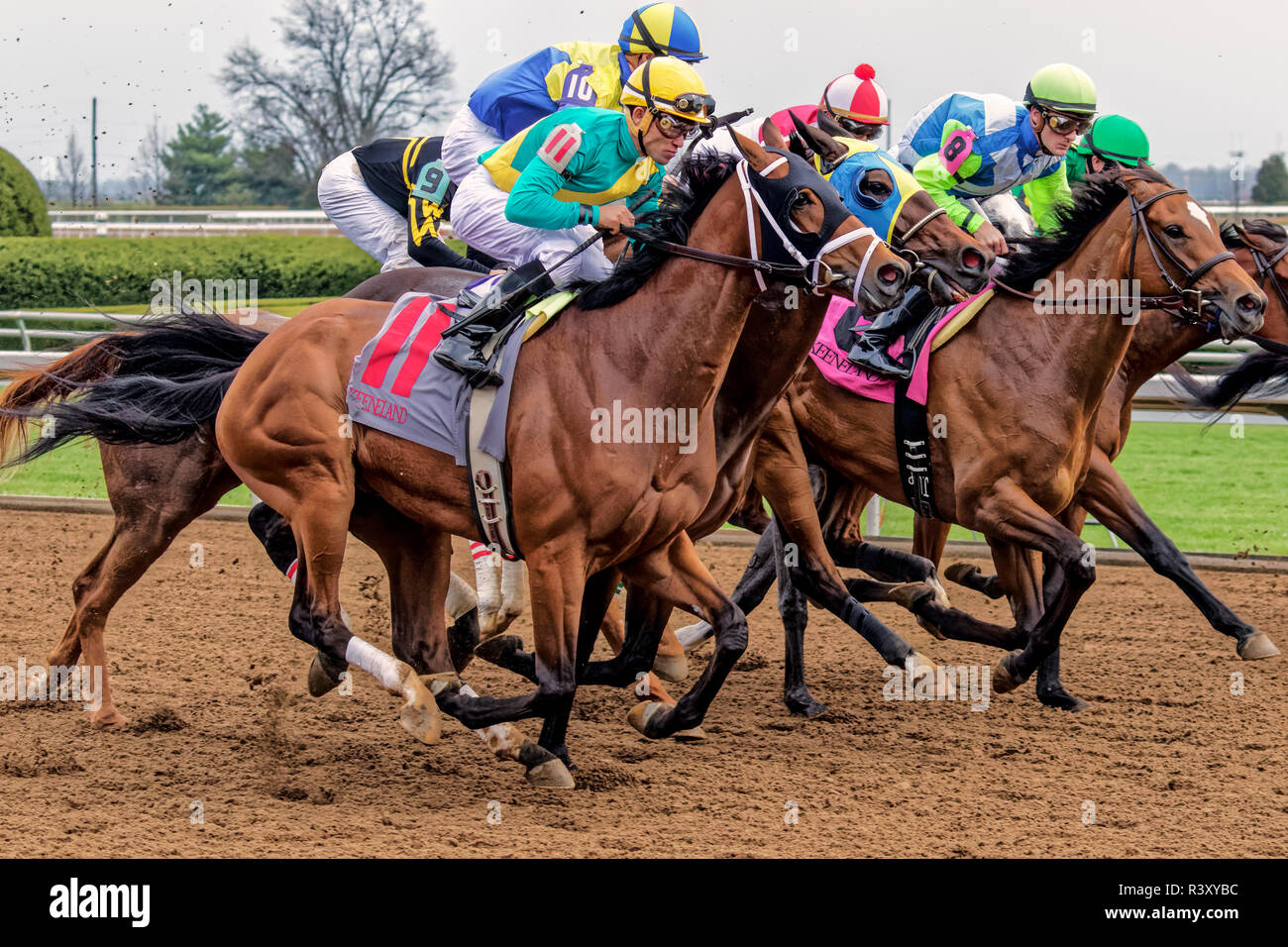 Thoroughbred horse racing, Keeneland Racecourse, Lexington, Kentucky ...