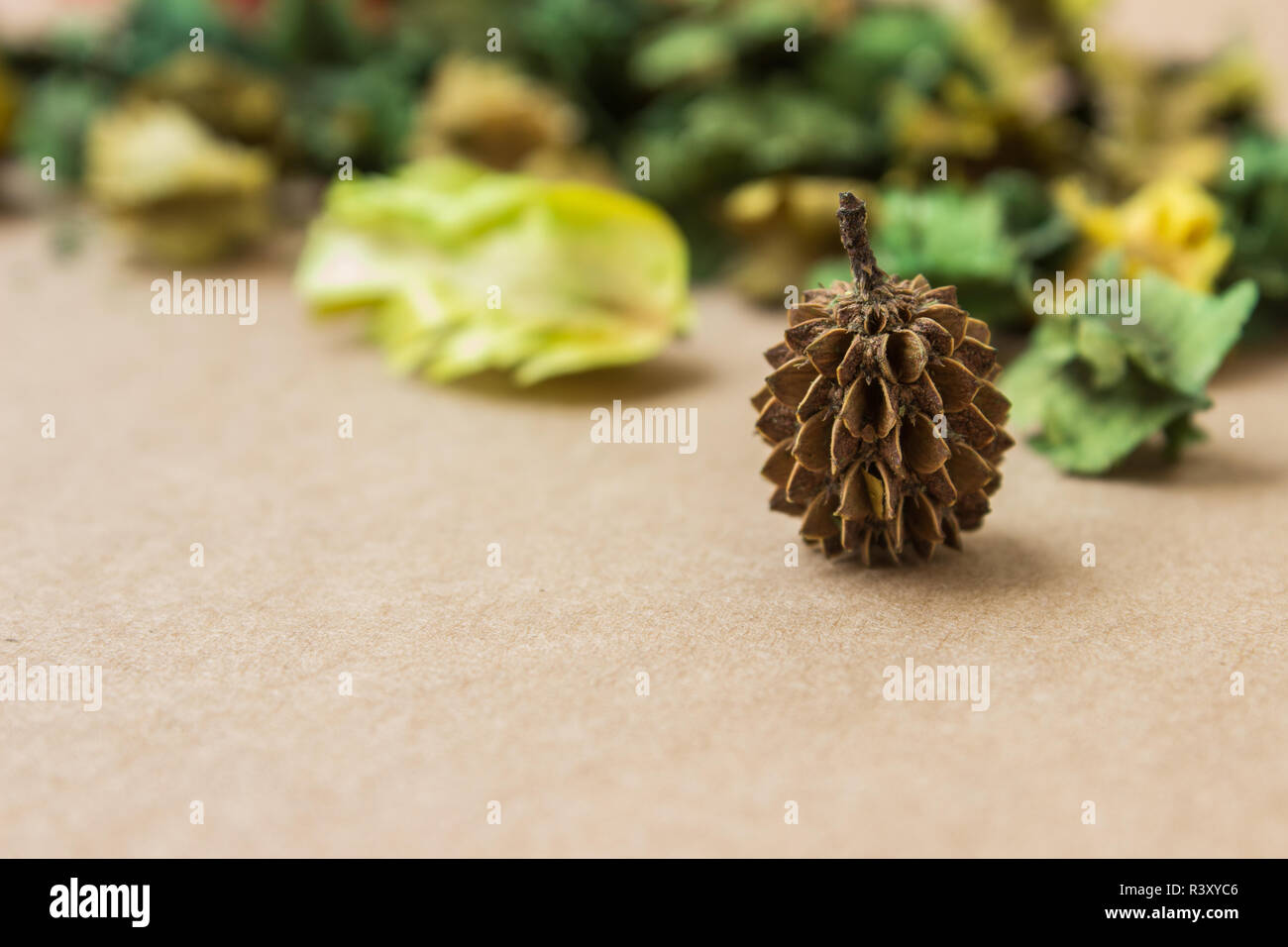 Lokta hi-res stock photography and images - Alamy