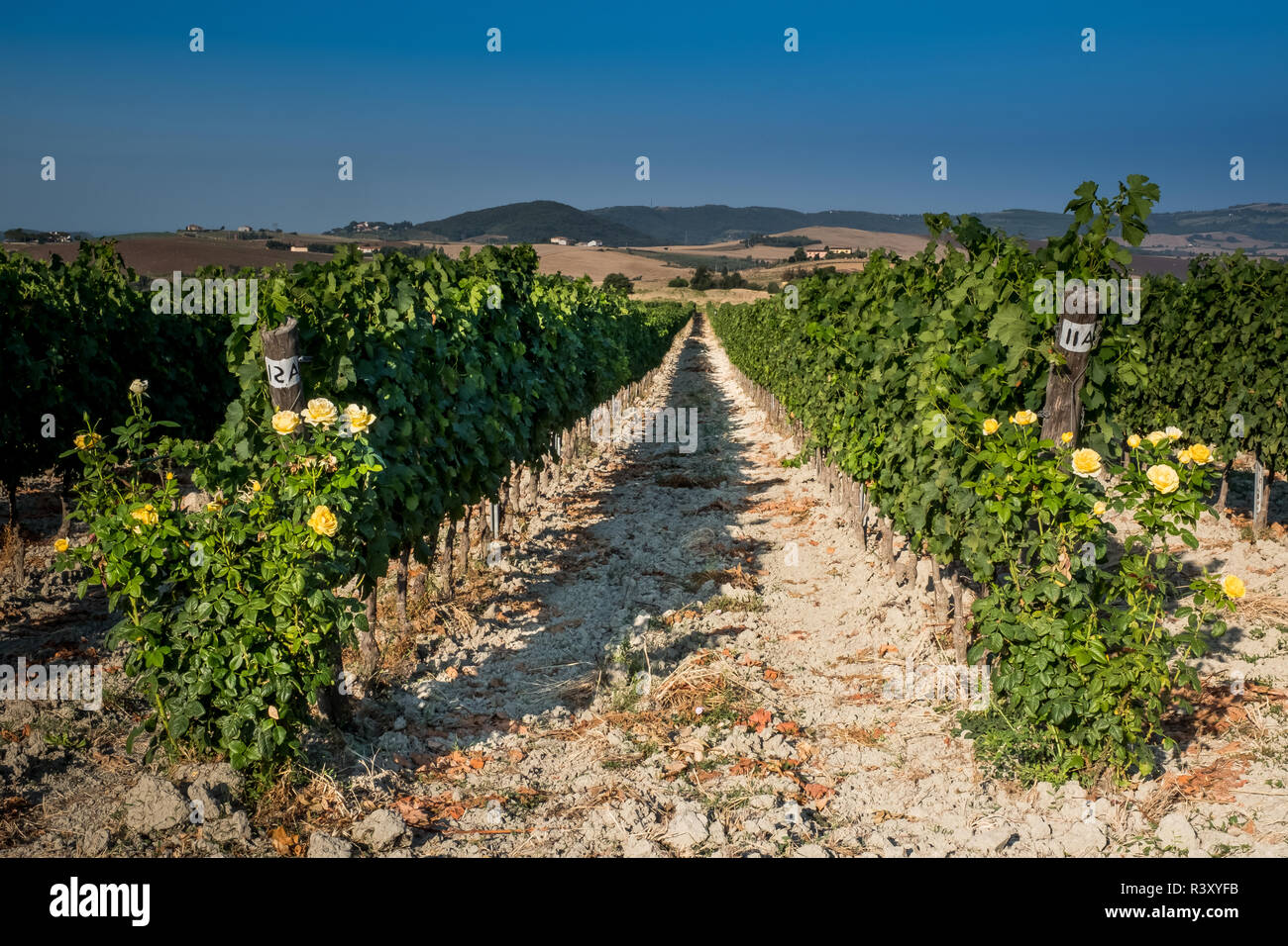 Pastina, Pisa, Tuscany - valley between Santa Luce and Pastina in the ...
