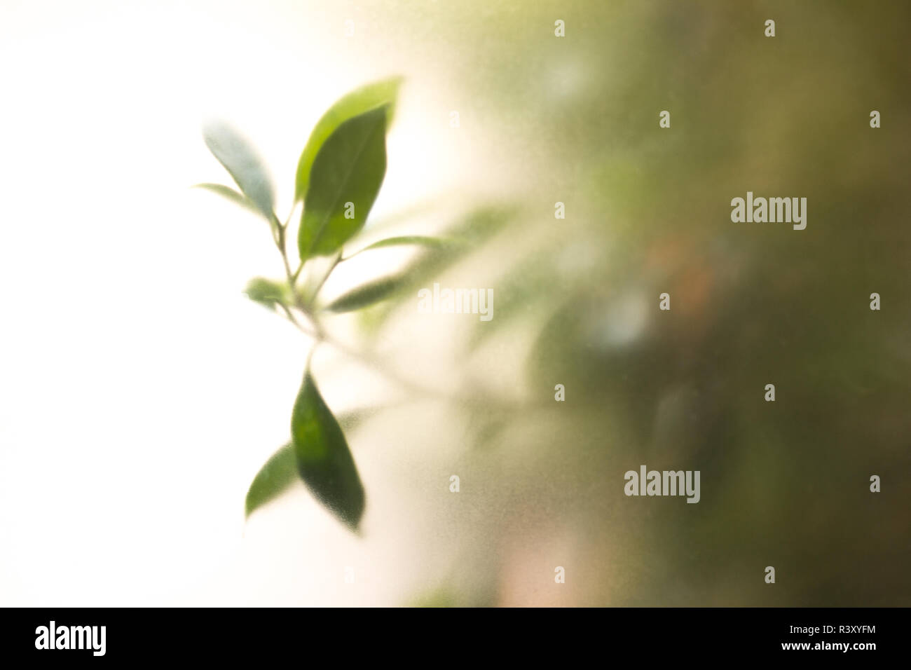 Opaque and translucent blue glass hi-res stock photography and images ...