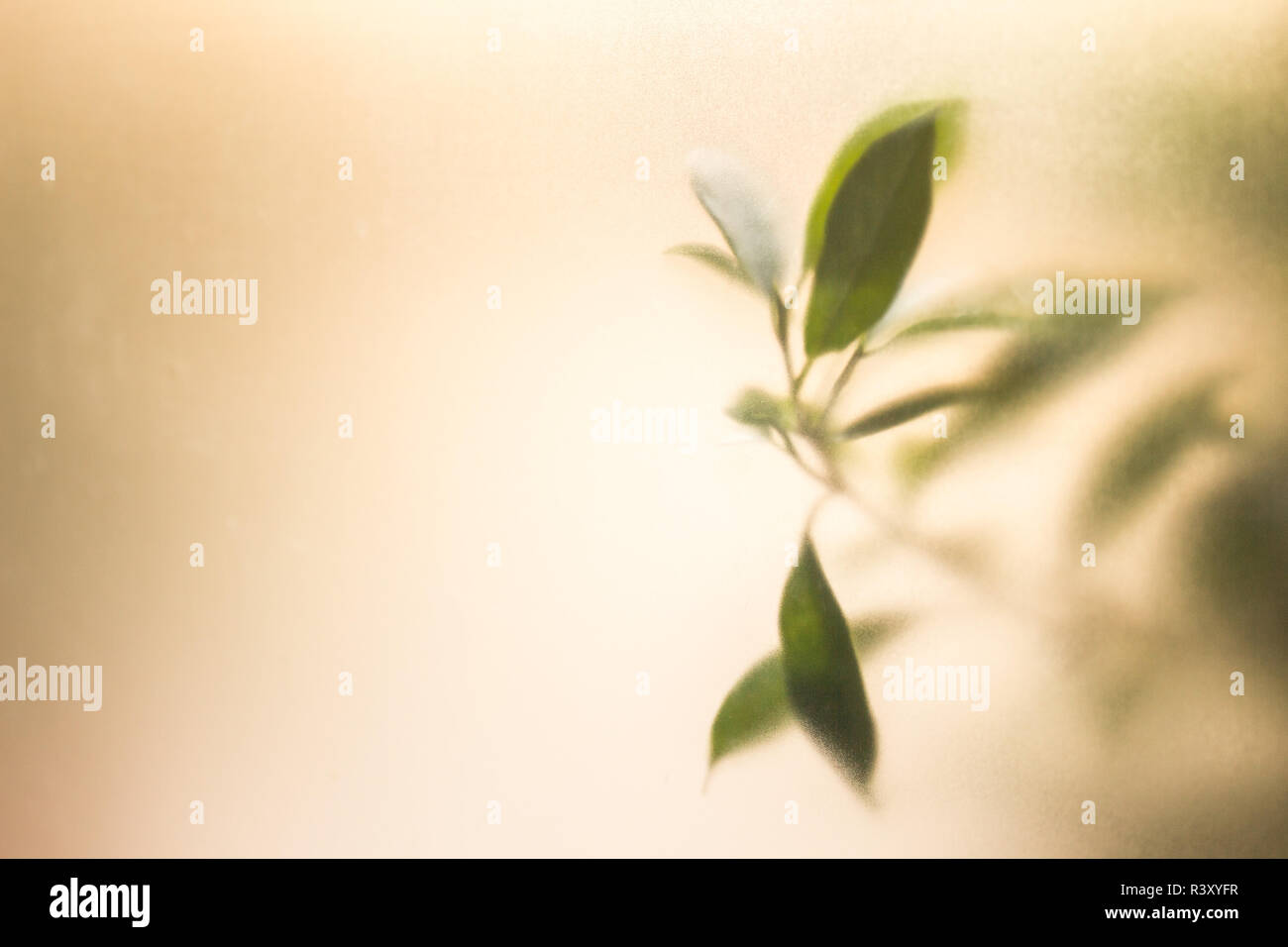 Opaque and translucent blue glass hi-res stock photography and images ...