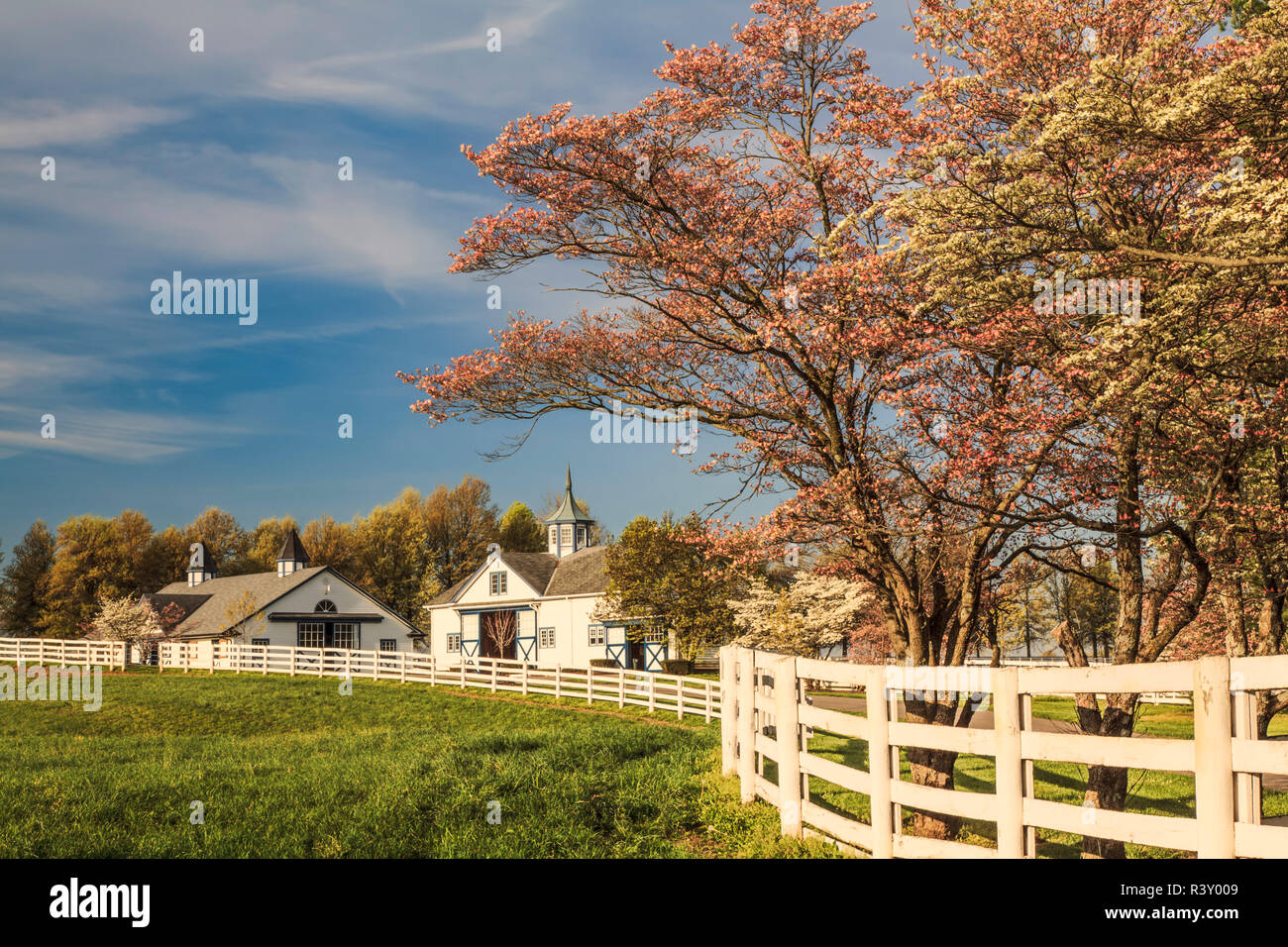 Lexington Kentucky Horse Farm High Resolution Stock Photography and ...