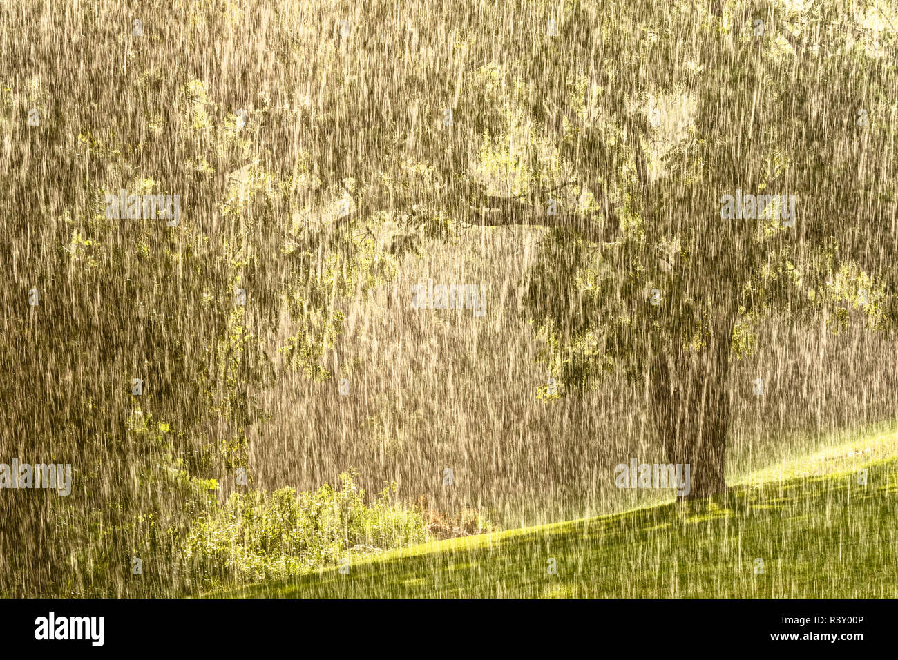 Rain kentucky hi-res stock photography and images - Alamy