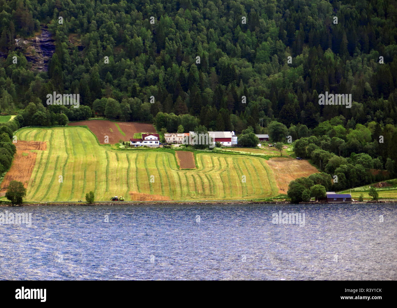 Norway, Grodas, Hornindal, Sogn og Fjordane, Lake Horninsdalvatnet ...