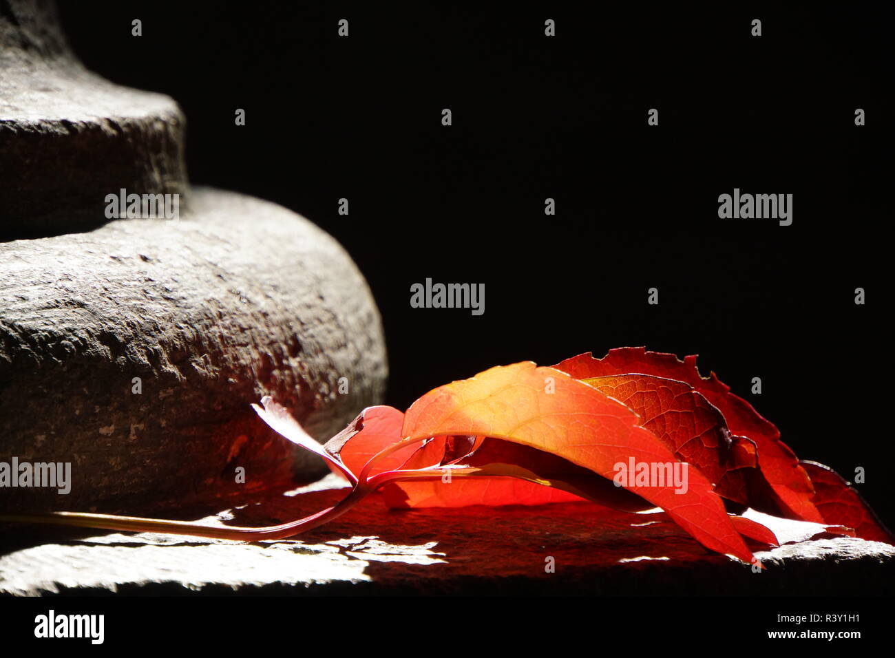 Church organ indoor photo hi-res stock photography and images - Alamy