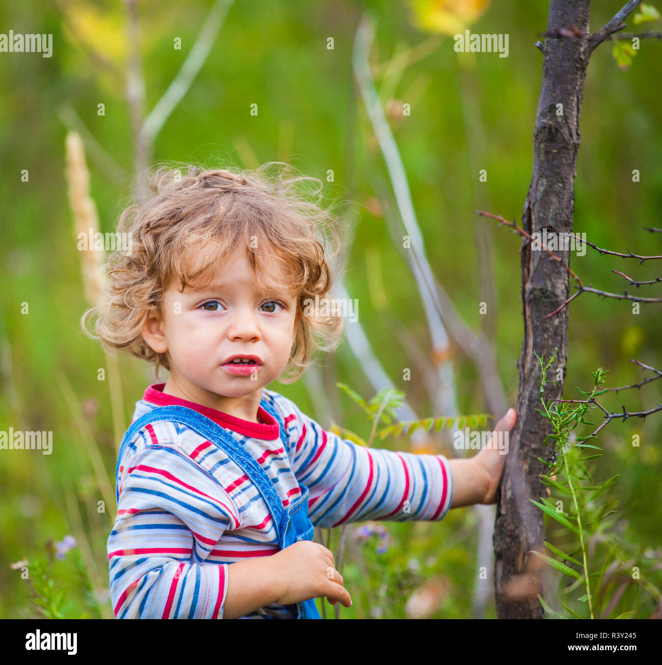 Portrait of toddler boy outdoor Stock Photo - Alamy
