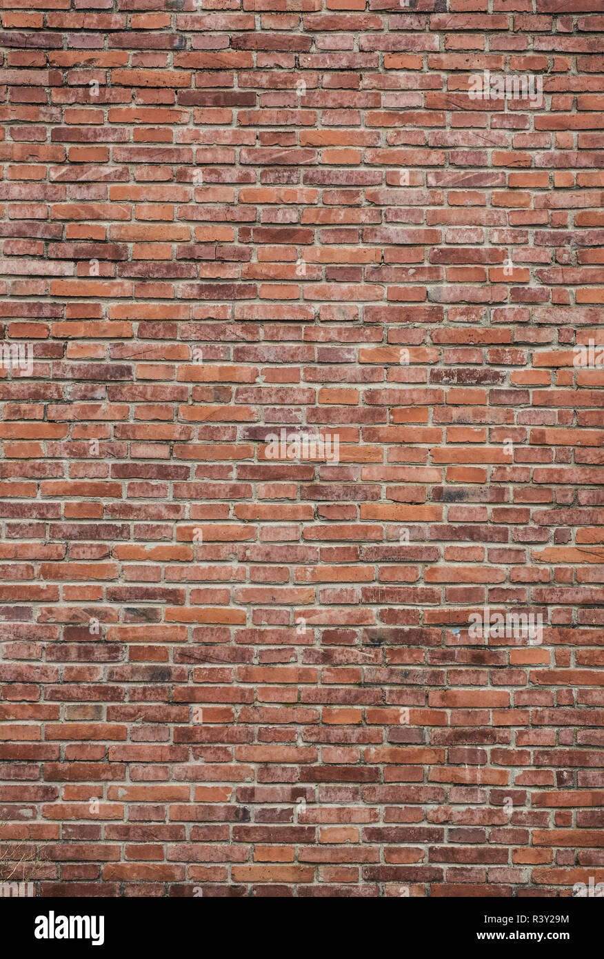 Perfect brick wall texture Stock Photo - Alamy