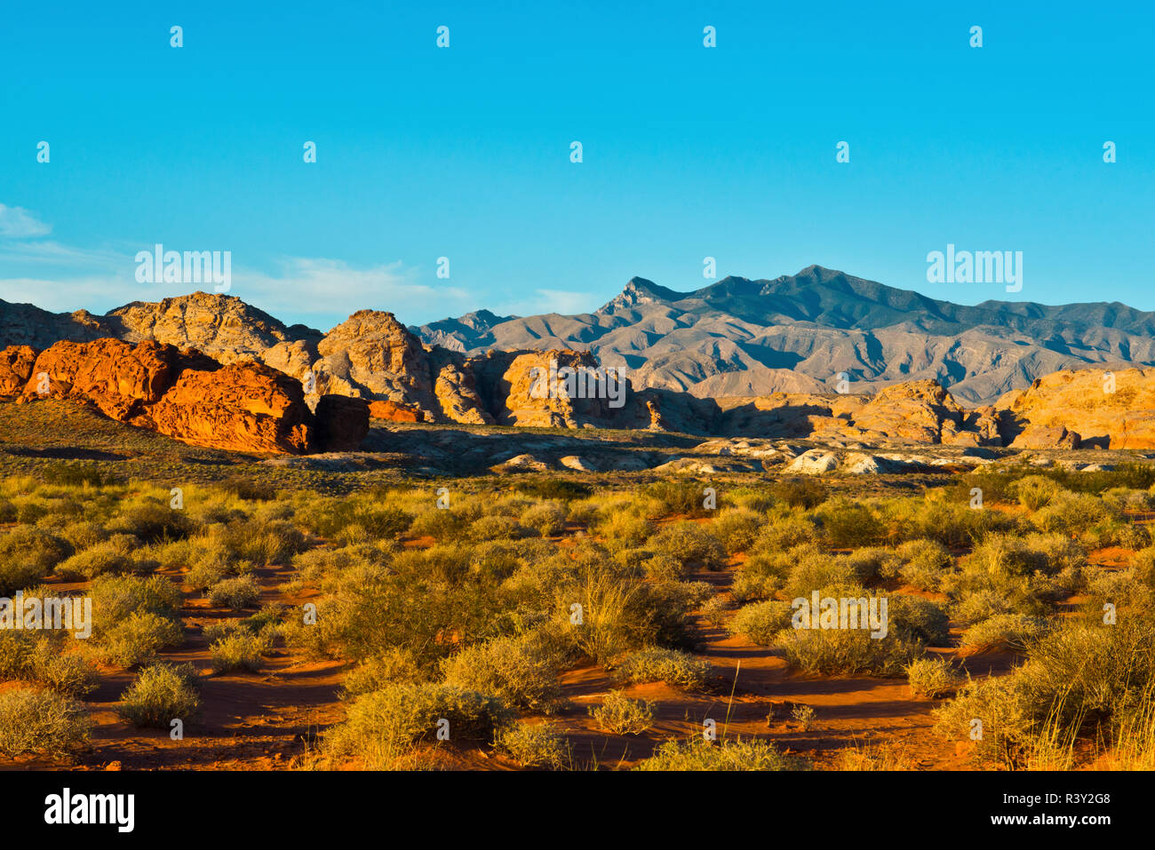 Gold butte wash hi-res stock photography and images - Alamy